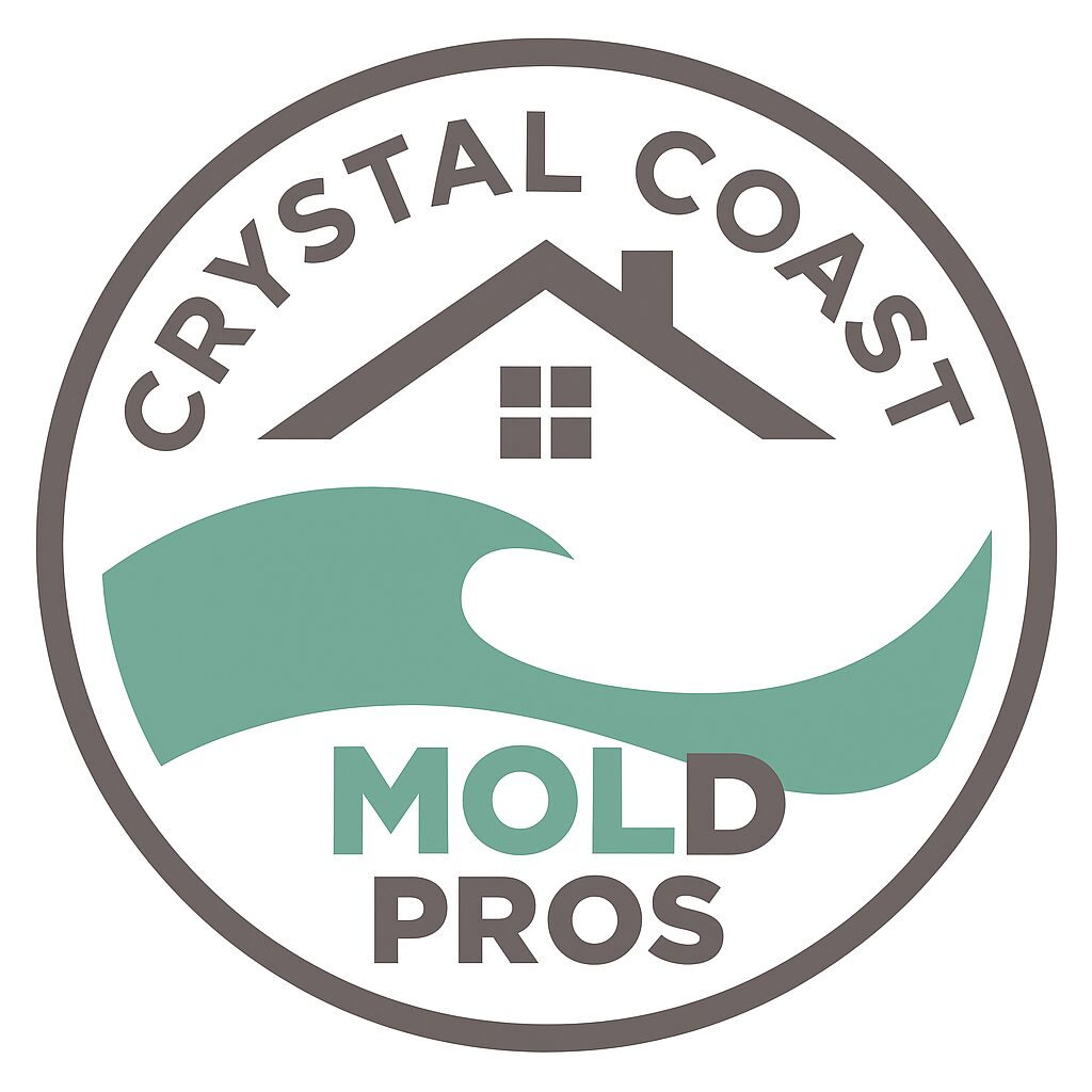 Mold Removal and Home Remediation Services